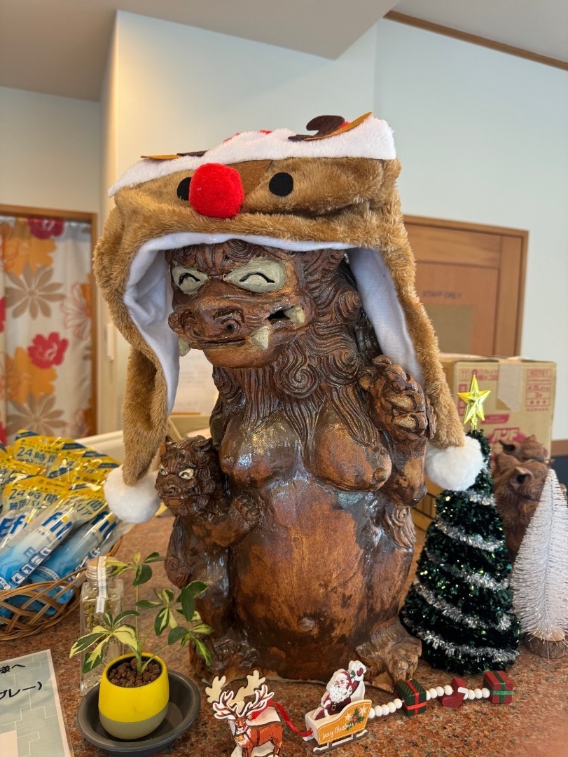 今日のデメル 宮古島で再生エネルギー: 今日のマロン＆デメル